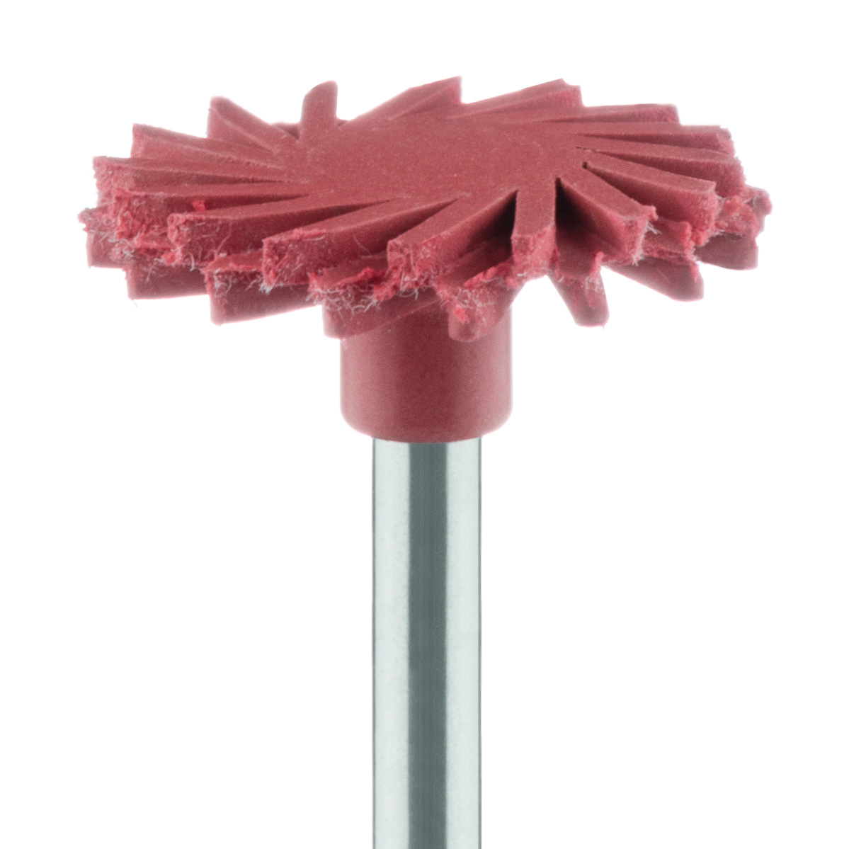 Dental Polishing Tools & Kits - Meisinger