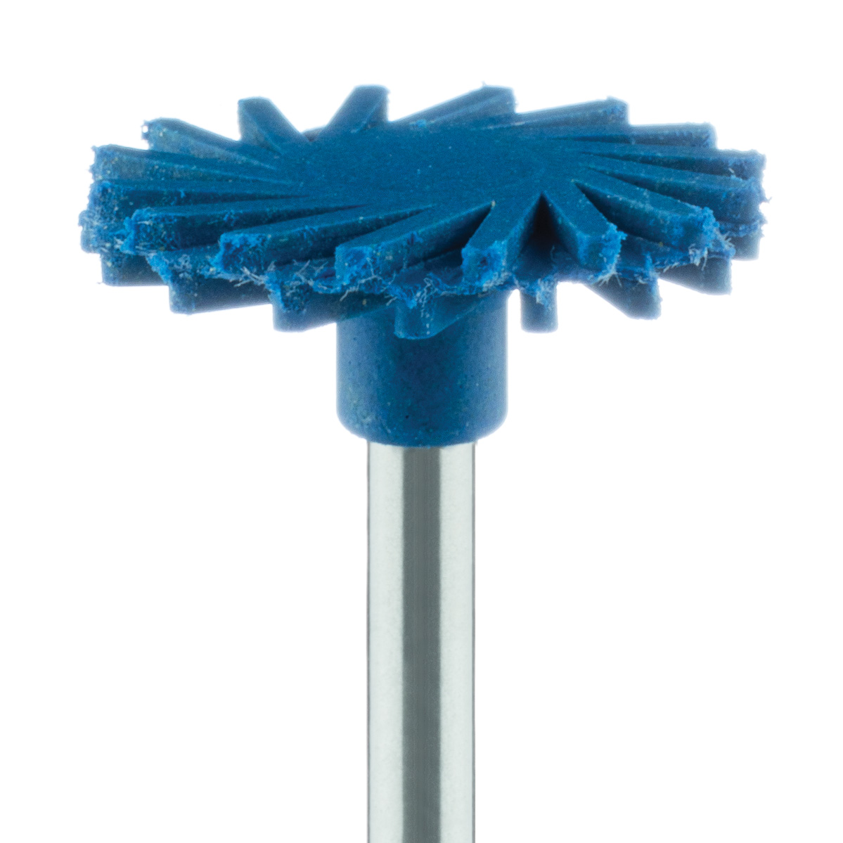 Dental Polishing Tools & Kits - Meisinger