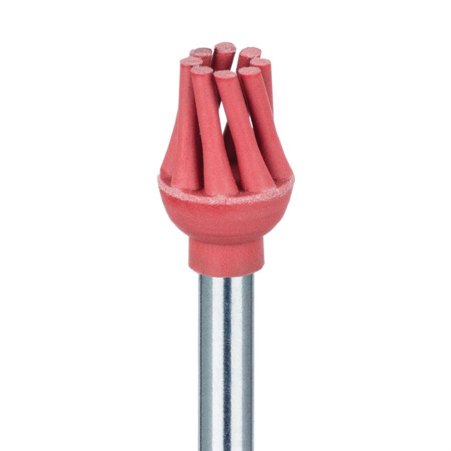 Dental Polishing Tools & Kits - Meisinger