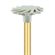 Dental Polishing Tools & Kits - Meisinger