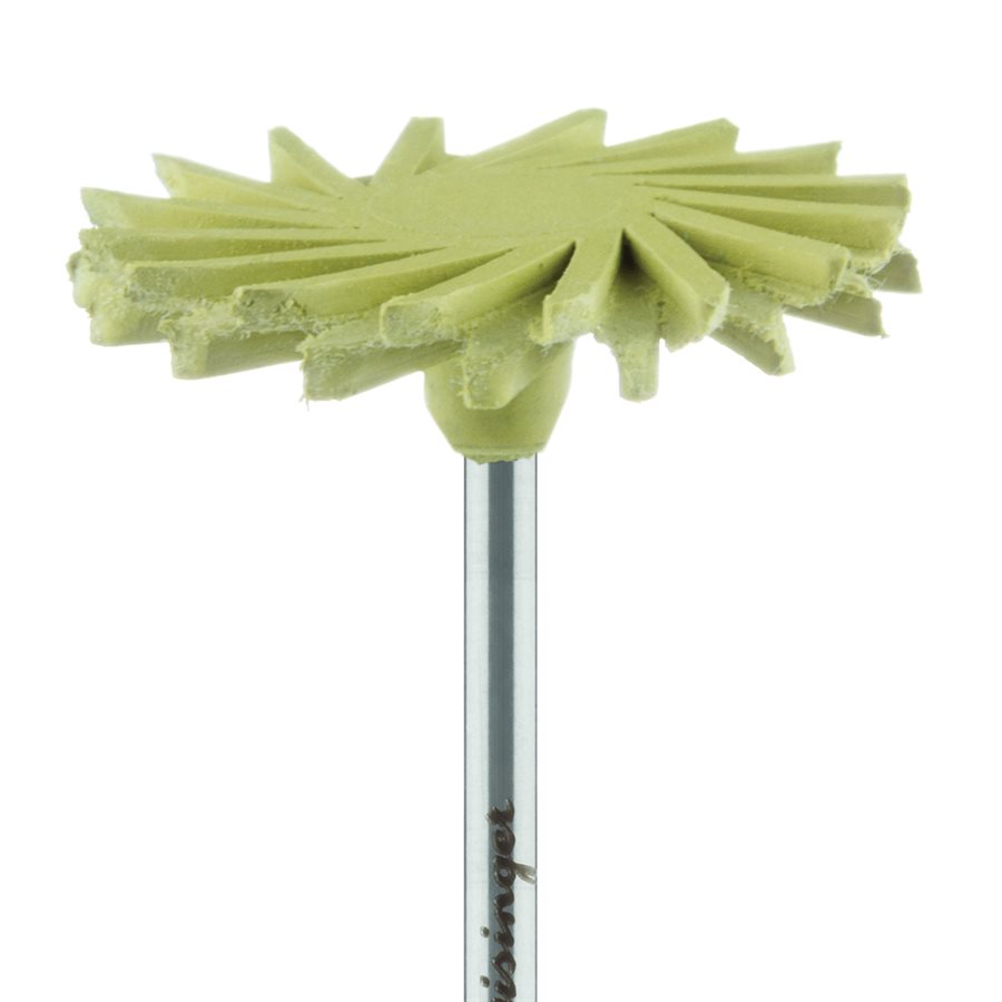 Dental Polishing Tools & Kits - Meisinger